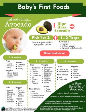 Introducing Avocados as Baby's First Food + Free Baby Food Recipe Cheat Sheet! - Dishes & Dust ...