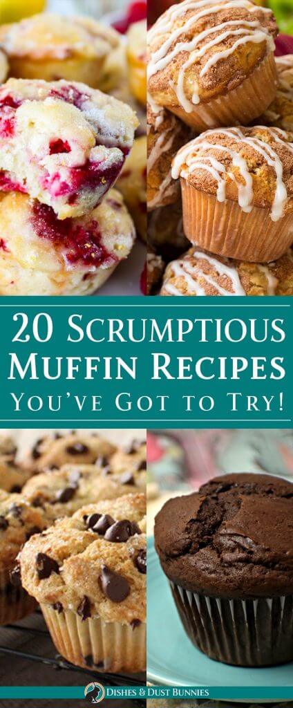 20 Scrumptious Muffin Recipes You've Got to Try - Dishes & Dust Bunnies