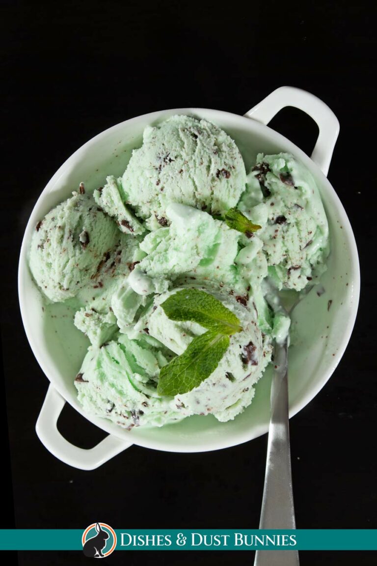 Mint Chocolate Chip Ice Cream - Dishes & Dust Bunnies