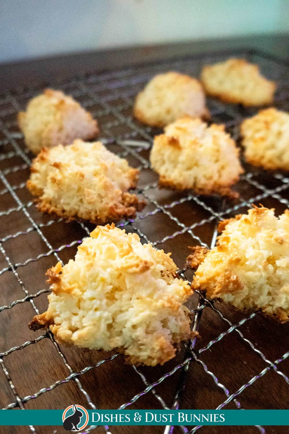 Easy Coconut Macaroons - Dishes & Dust Bunnies